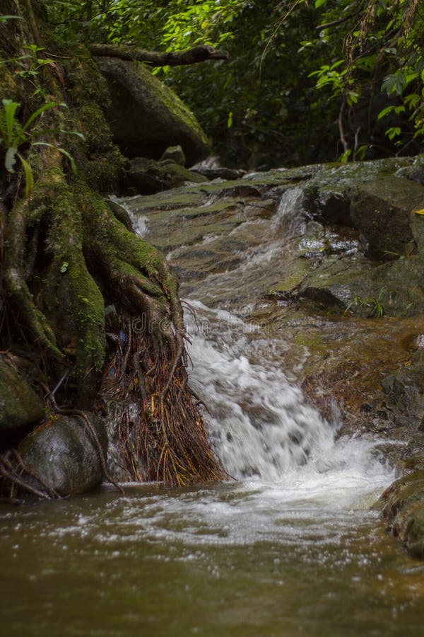 Deep Forest River Wild Waterfall View Stock Image - Image of beautiful ...