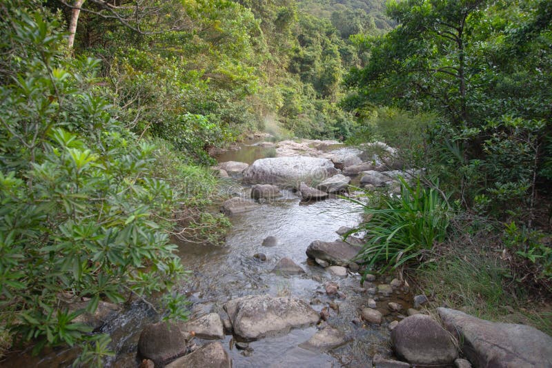 Deep Forest River Wild Waterfall View. Forest River Wild Landscape. 2 ...
