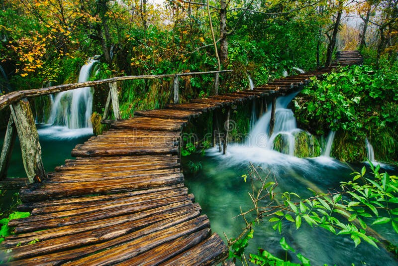 Deep Forest Stream with Crystal Clear Water with Pathway. Plitvice ...