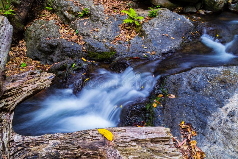 Deep Forest Stream with Rocks Around, Blur Motion, Long Exposure Stock ...