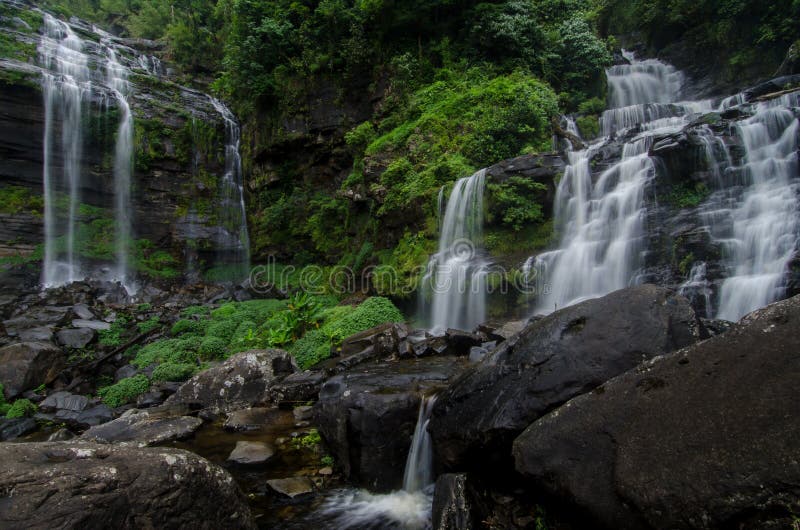 Deep forest water fall stock image. Image of cool, freshness - 55817501