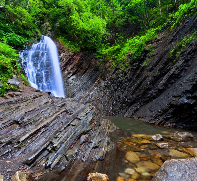 Deep forest waterfall stock image. Image of cascade, fall - 20740863