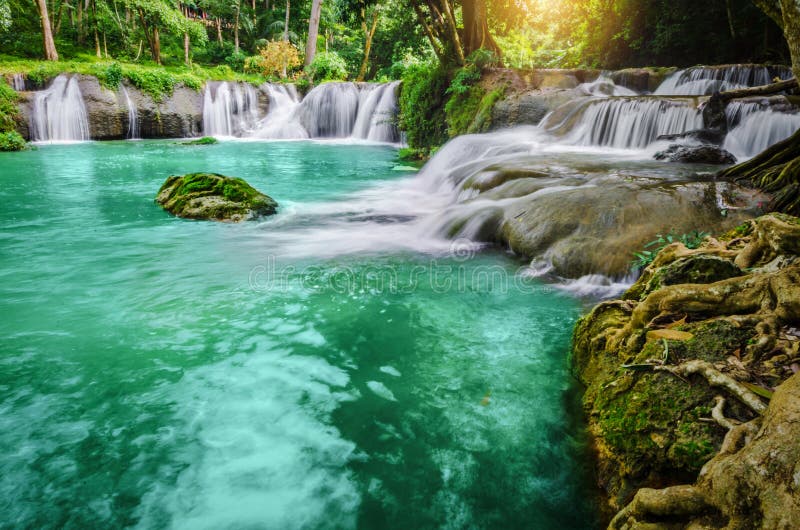 Deep forest Waterfall. stock image. Image of paradise - 99024885