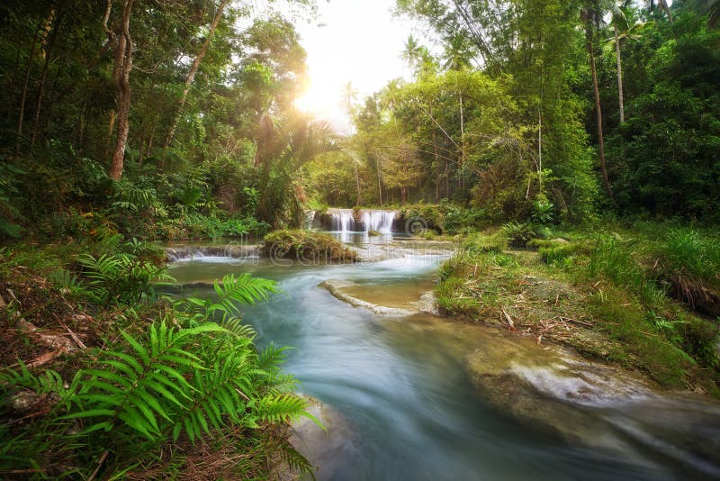 Deep Forest Waterfall National Park Stock Image - Image of beautiful ...