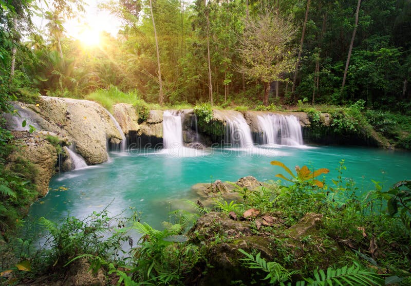 Deep Forest Waterfall National Park. Stock Photo - Image of jungle ...