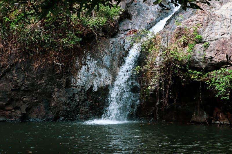 Deep Forest Waterfall Stream View. Forest Waterfall Creek. Waterfall in ...