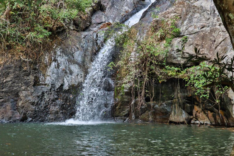 Deep Forest Waterfall Stream View. Forest Waterfall Creek. Waterfall in ...