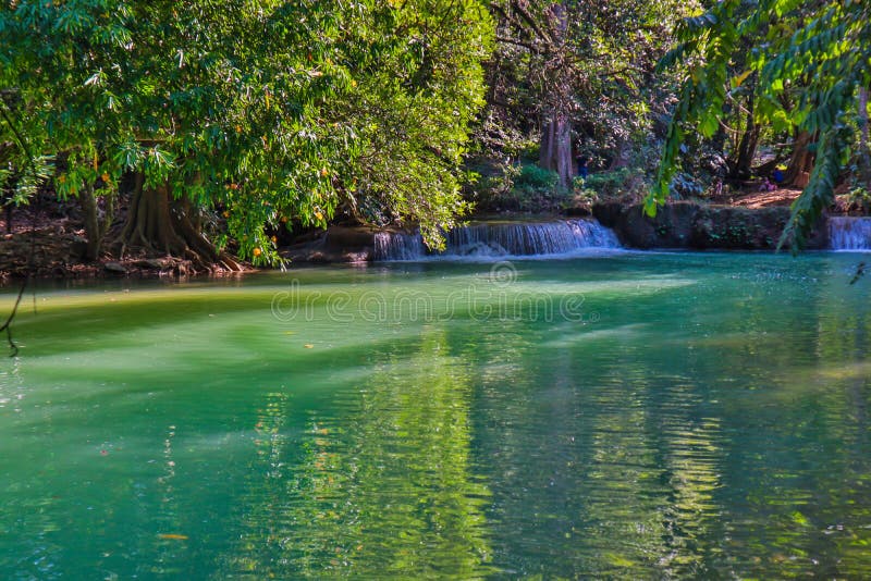 Deep Forest Waterfall Stream View. Forest Waterfall Creek. Waterfall in ...