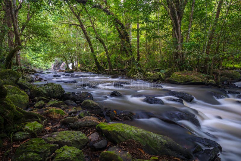 Waterfall in deep forest stock photo. Image of reflection - 7545104