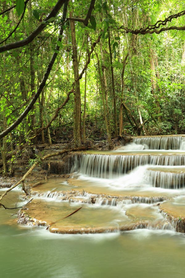 Deep forest waterfall stock image. Image of growth, heaven - 43493889