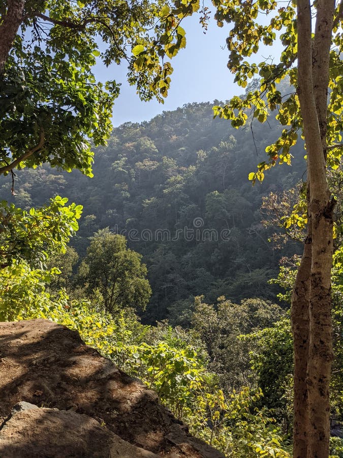 Deep forests and mountain stock photo. Image of deep - 239355006