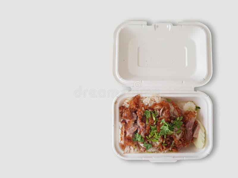 Deep Fried Chicken with Oily Rice in a Take Away Package Stock Photo ...
