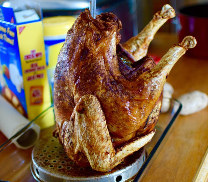 Deep Fried tasty Turkey stock image. Image of deep, food - 107240689