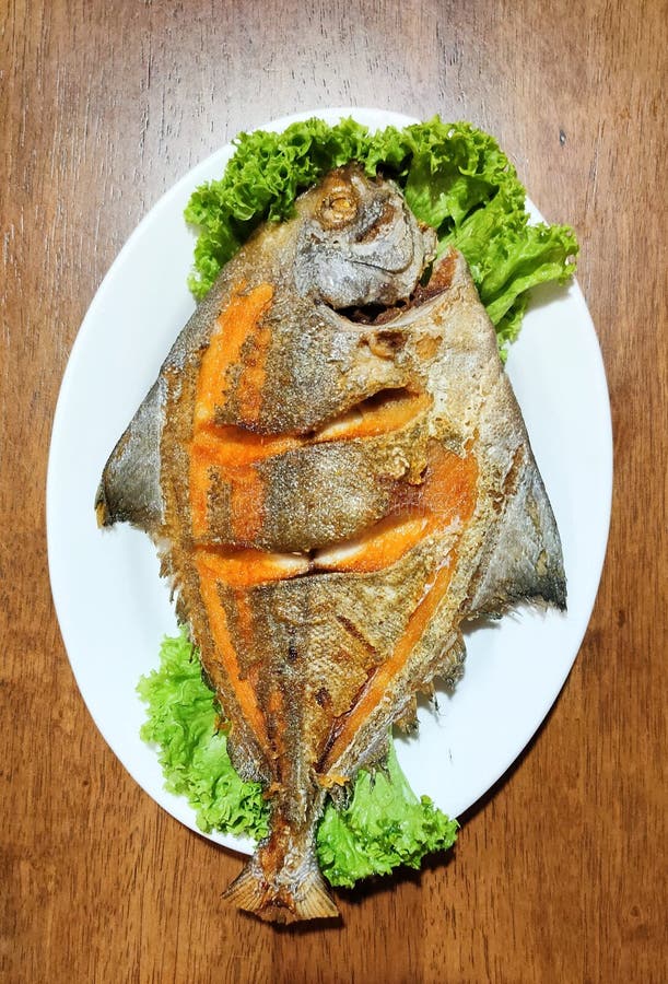 Deep Fried Fish - stock photo. Image of plant, meat - 188577484
