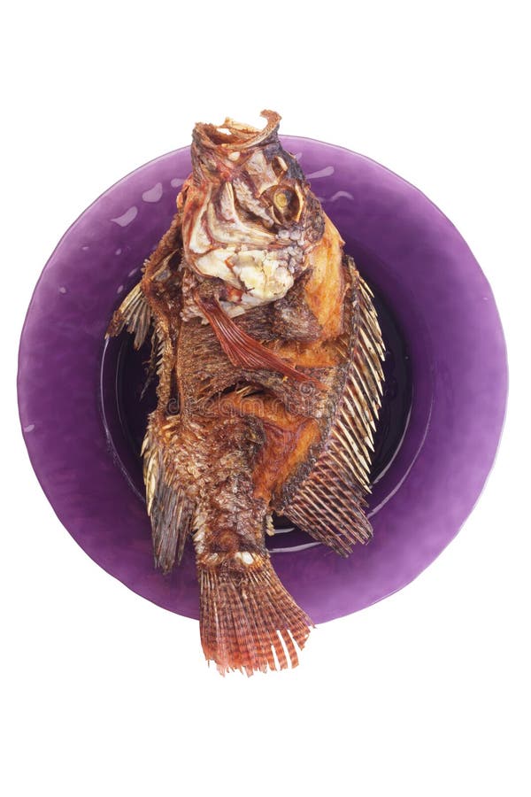 Deep fried fish stock image. Image of traditional, fried - 19733561