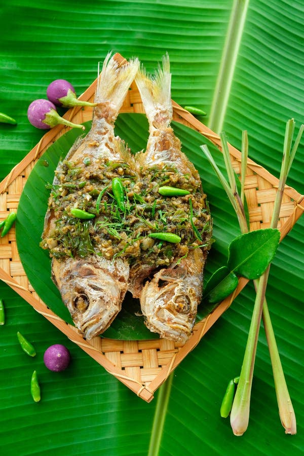 Deep Fried Fish with Chlli Sauce Stock Photo - Image of asia, animal ...