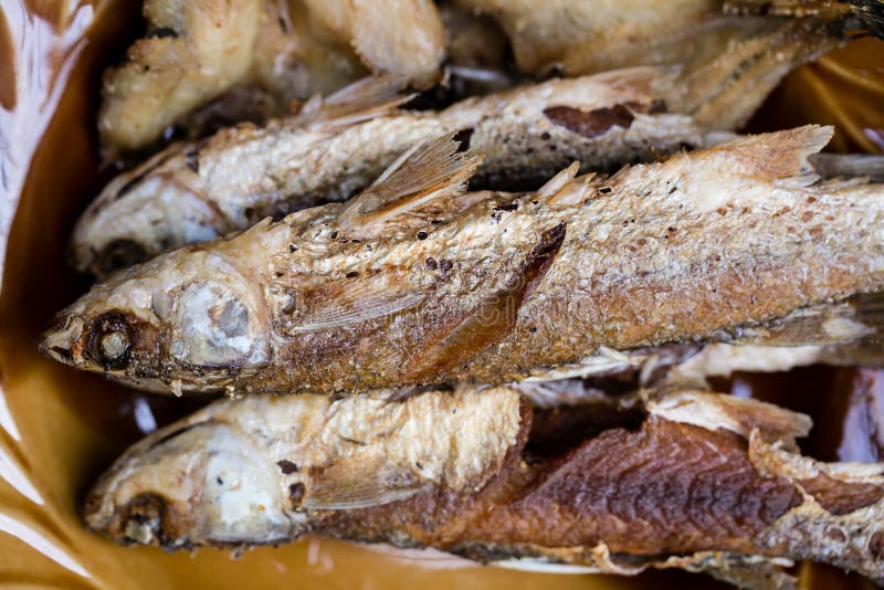 Deep Fried fish stock image. Image of eating, food, healthy - 103815437