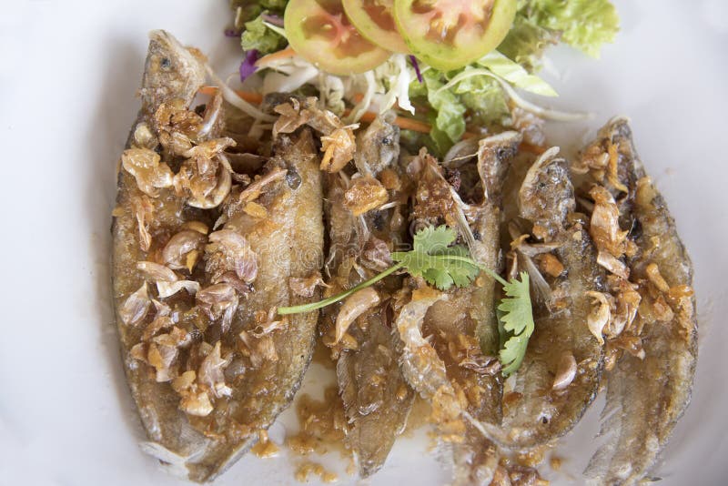 Deep Fried Fish with Garlic Stock Photo - Image of dish, background ...