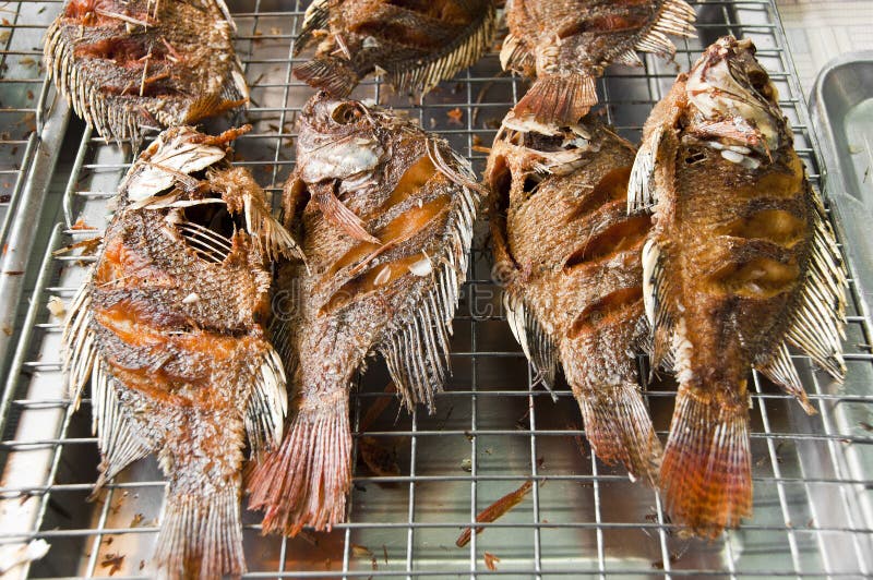 Deep fried fish. stock photo. Image of metal, seafood - 33239080