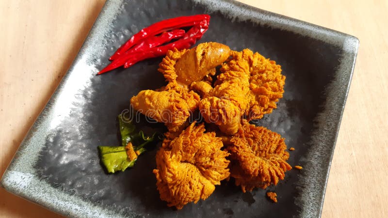 Deep Fried Fish Roe or Fish Eggs in Plate. Stock Photo - Image of squid ...