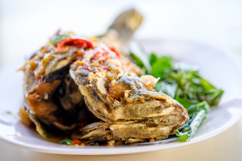 Deep fried fish stock photo. Image of fish, spicy, fried - 72973192