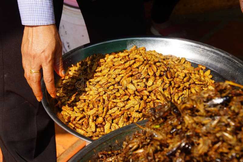 Deep Fried Tarantula Spiders Stock Image - Image of fried, snack: 51342895