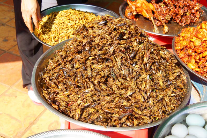 Deep Fried Tarantula Spiders Stock Image - Image of fried, snack: 51342895