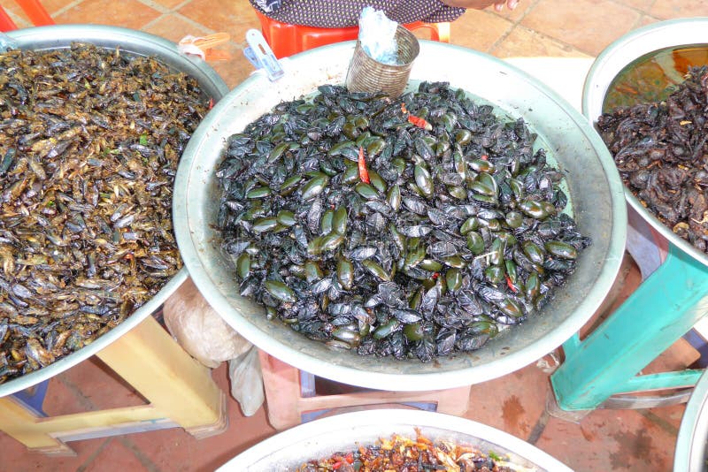 Deep fried insects stock photo. Image of tasty, unusual - 65877438