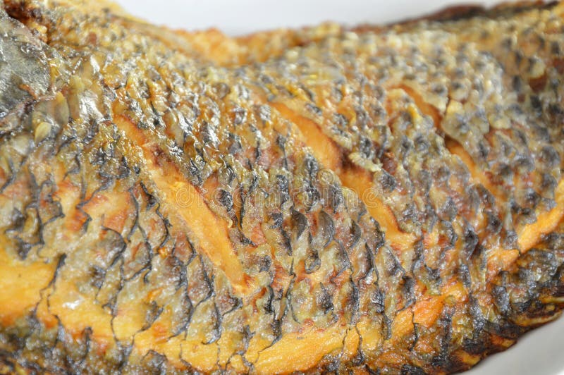 Deep Fried Mango Fish Skin Texture on Dish Stock Photo - Image of skin ...