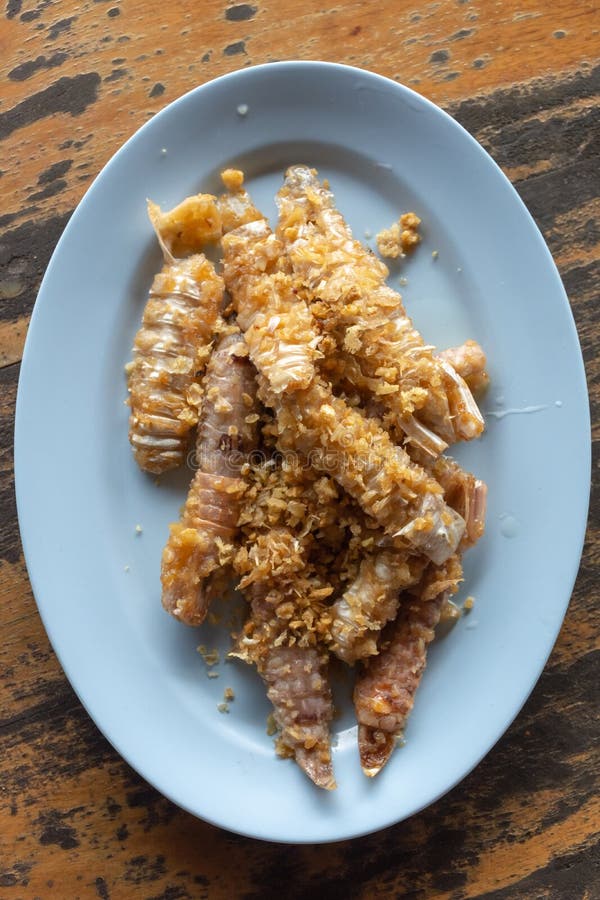 Fried mantis stock image. Image of meat, cuisine, delicious - 21481731