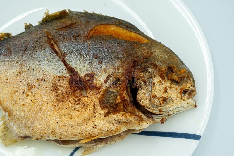 Deep Fried Pompano Fish. stock photo. Image of food - 325396576