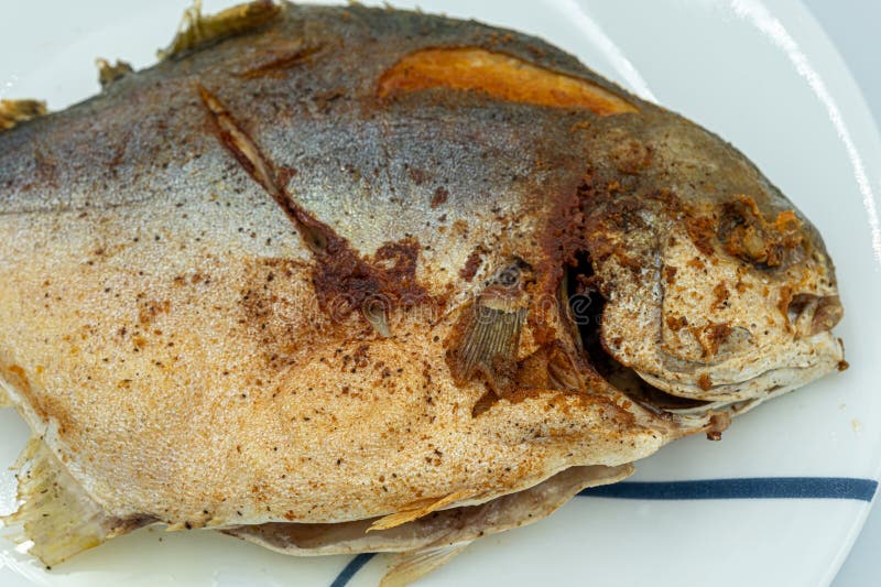 Deep Fried Pompano in a Plate Dish. Stock Image - Image of grilled ...