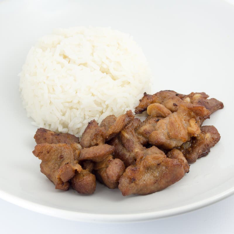 Deep fried pork with rice stock image. Image of glossy - 40277511