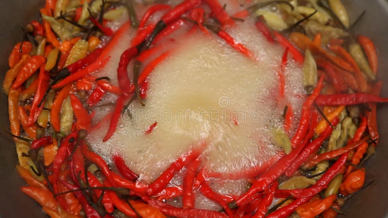 Deep Fried Red Chili stock footage. Video of chilli - 235531140