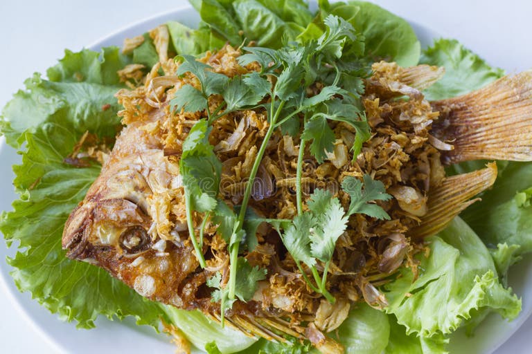 Deep Fried Red with Crispy Garlic Stock Photo - Image of meal, fresh ...