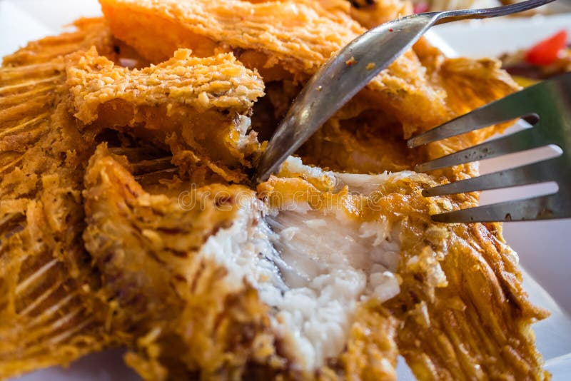 Deep-Fried RUBY Fish with Garlic on the Table Stock Image - Image of ...