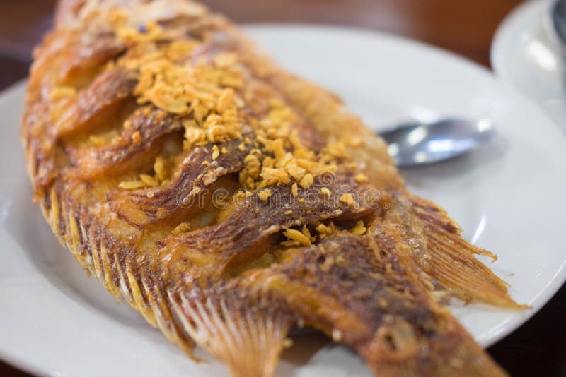 Deep Fried Ruby Fish with Garlic Stock Photo - Image of stir, herbs ...