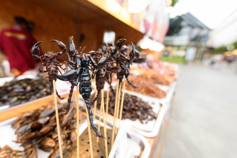 Deep Fried Scorpion for Eat Stock Photo - Image of sell, stick: 154997454