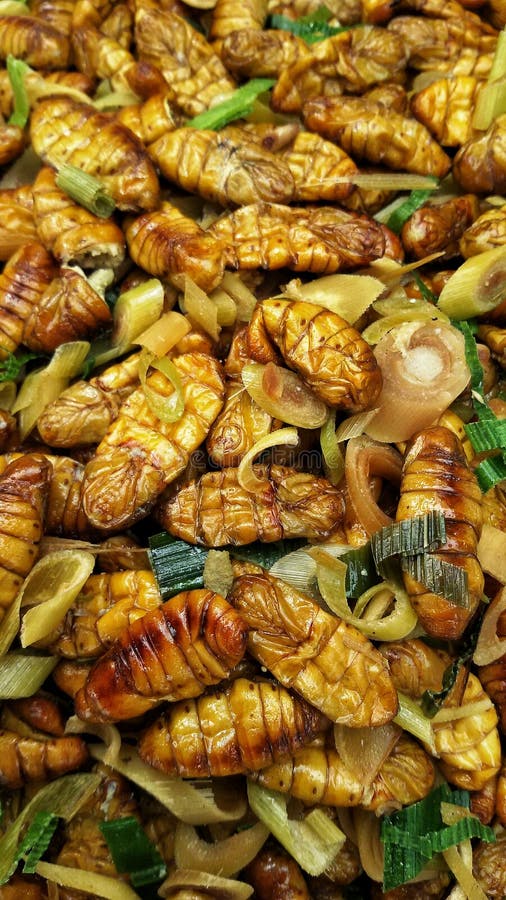 Deep Fried Silk Warm Stock Photos - Free & Royalty-Free Stock Photos ...