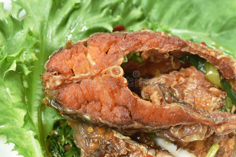 Deep Fried Slice Striped Snake Head Fish with Ginger and Celery on Dish ...