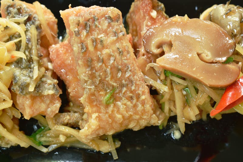 Deep Fried Slice Striped Snake Head Fish with Ginger and Celery on Dish ...
