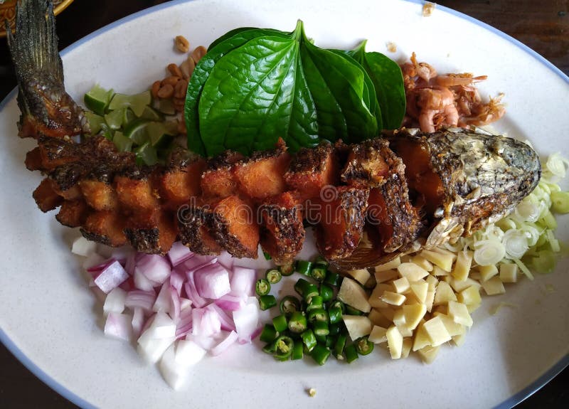 Deep Fried Snake Head Fish on White Oval Plate. Stock Photo - Image of ...