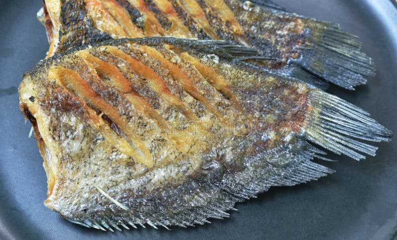 Deep Fried Snake Skin Catfish or Gourami on Dish Stock Image - Image of ...