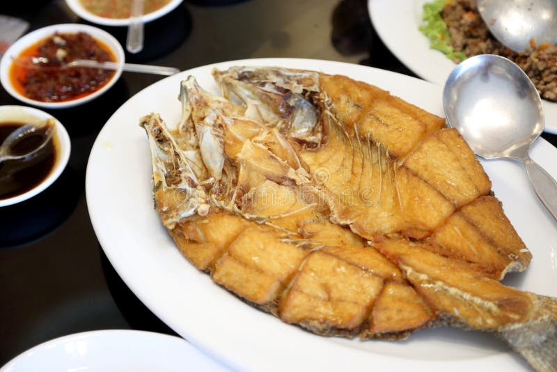 Snapper stock photo. Image of asian, cook, plate, dinner - 117205088