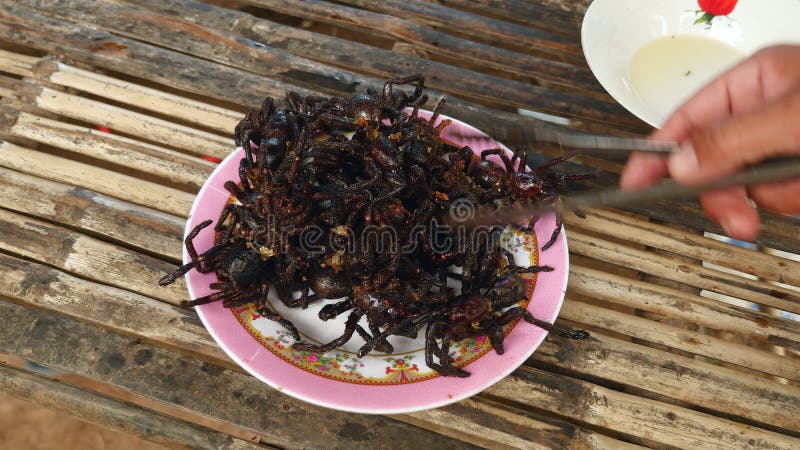 Pile of Deep Fried Tarantulas in a Bowl ( Close-up ) Stock Footage ...