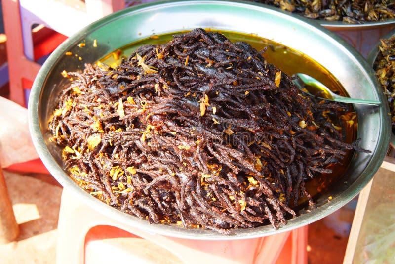 Deep Fried Tarantula Spiders Stock Image - Image of fried, snack: 51342895