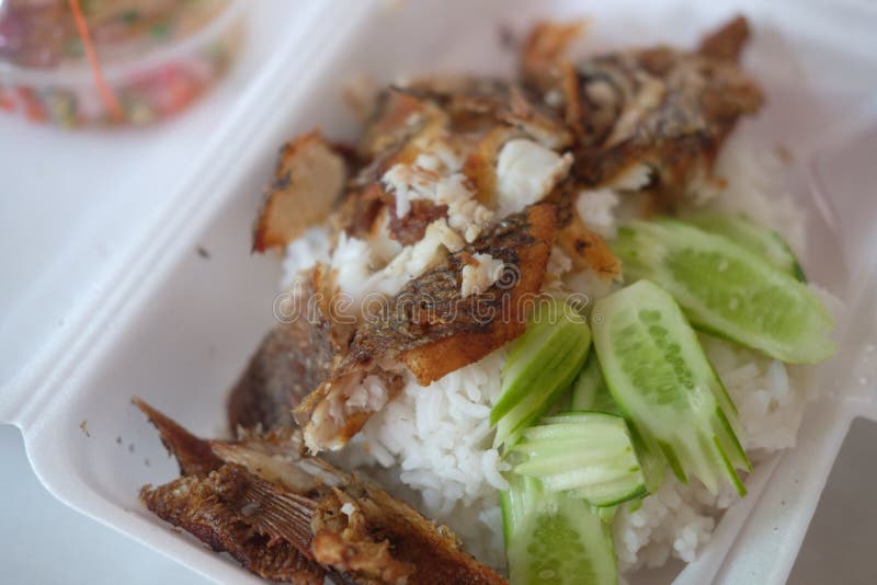 Tilapia Fishbone Stock Photos - Free & Royalty-Free Stock Photos from ...