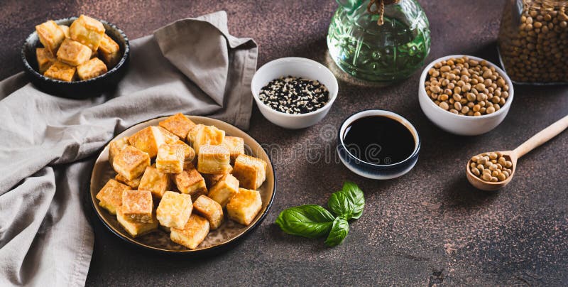 Deep Fried Vegetarian Soy Tofu Cheese on Plate on Table Web Banner ...