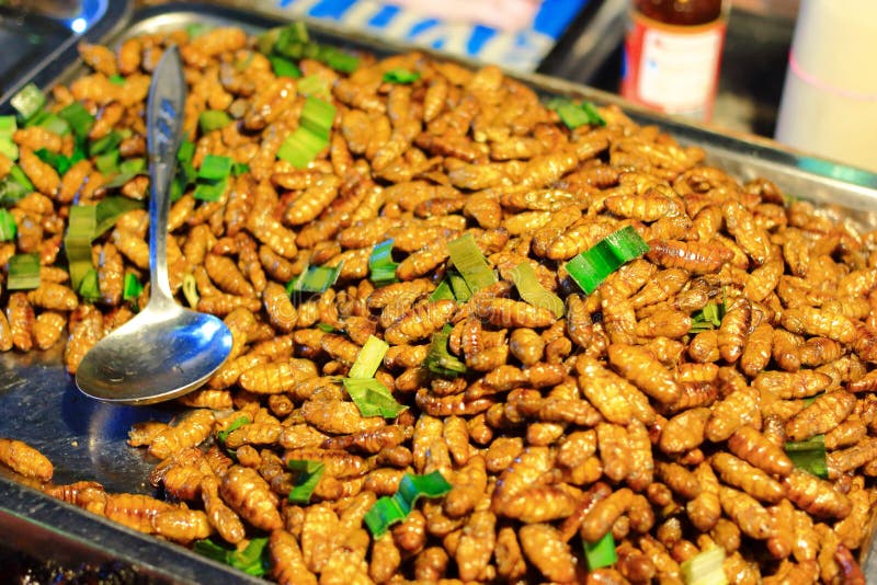 Fried worm stock photo. Image of dinner, caterpillar - 29255128