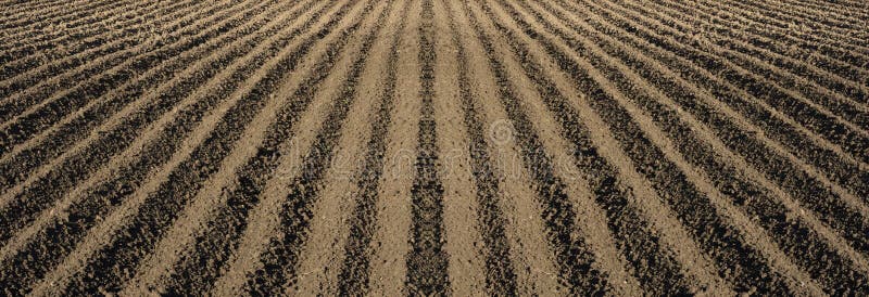 223 Deep Furrows Stock Photos - Free & Royalty-Free Stock Photos from ...